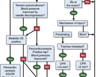 thoracotomy Archives - Charlie's ED