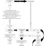 fracture Archives - Charlie's ED