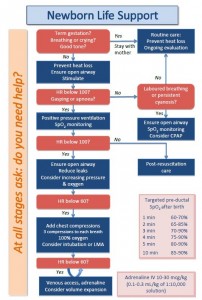 Newborn Life Support - Charlie's ED