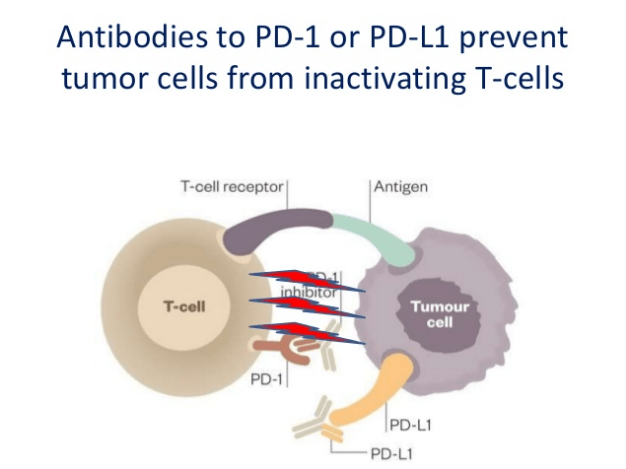 Immune Checkpoint Inhibitors: Management of Immune Related Reactions ... Immune Checkpoint Inhibitors: Management of Immune Related Reactions ...