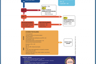Updated SCGH ED Suspected Sepsis Triage Screening Tool 01/2018 ...